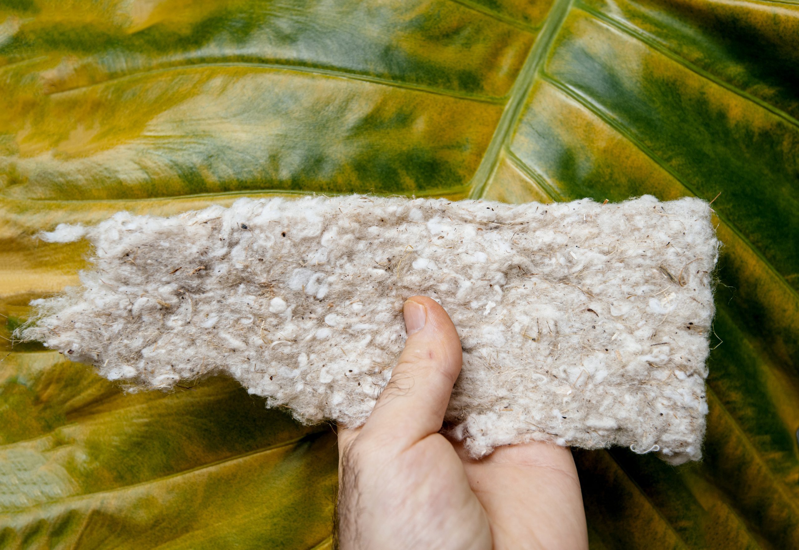 Eco-Friendly Home Insulation: The Sustainable Solution