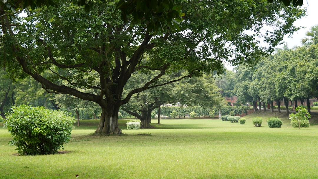 Growing Green: How to Create an Eco-Friendly Garden - Eco Friendly Home ...